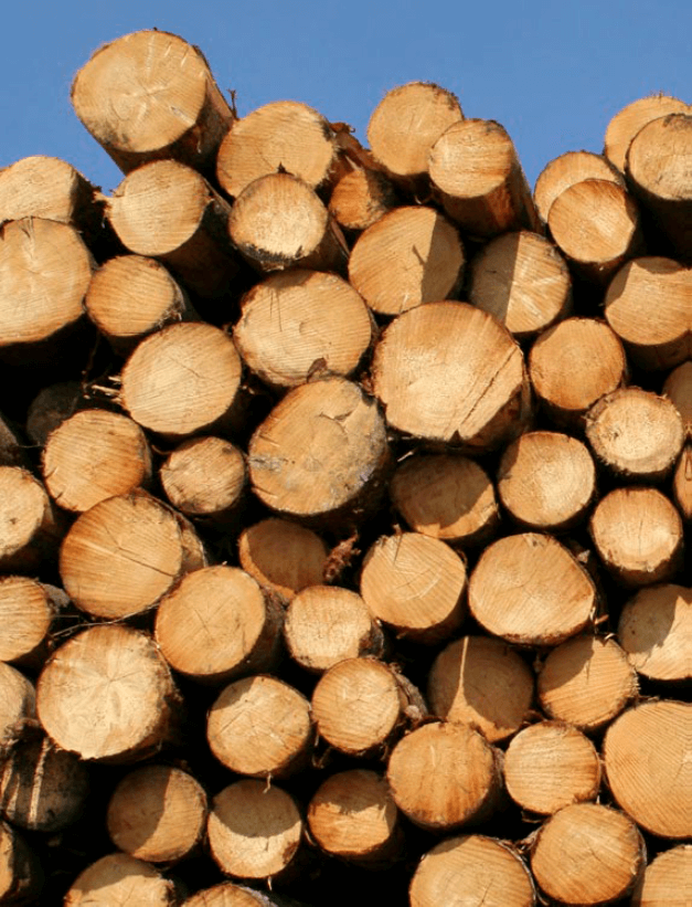 Softwood Log and Lumber Markets in Asia - Forest Resources Association