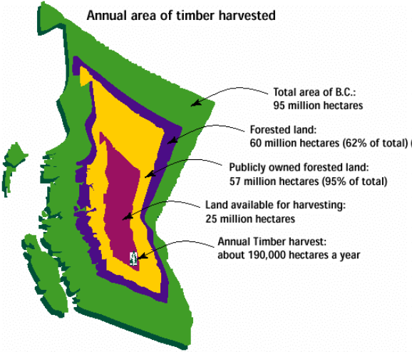 The British Columbia Interfor Forest Industry in a Post-Mountain Pine ...