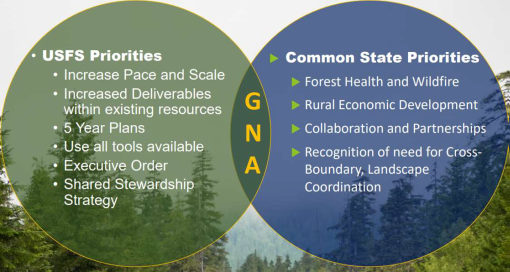 Federal Forest Management Solutions: Featuring Good Neighbor Authority ...