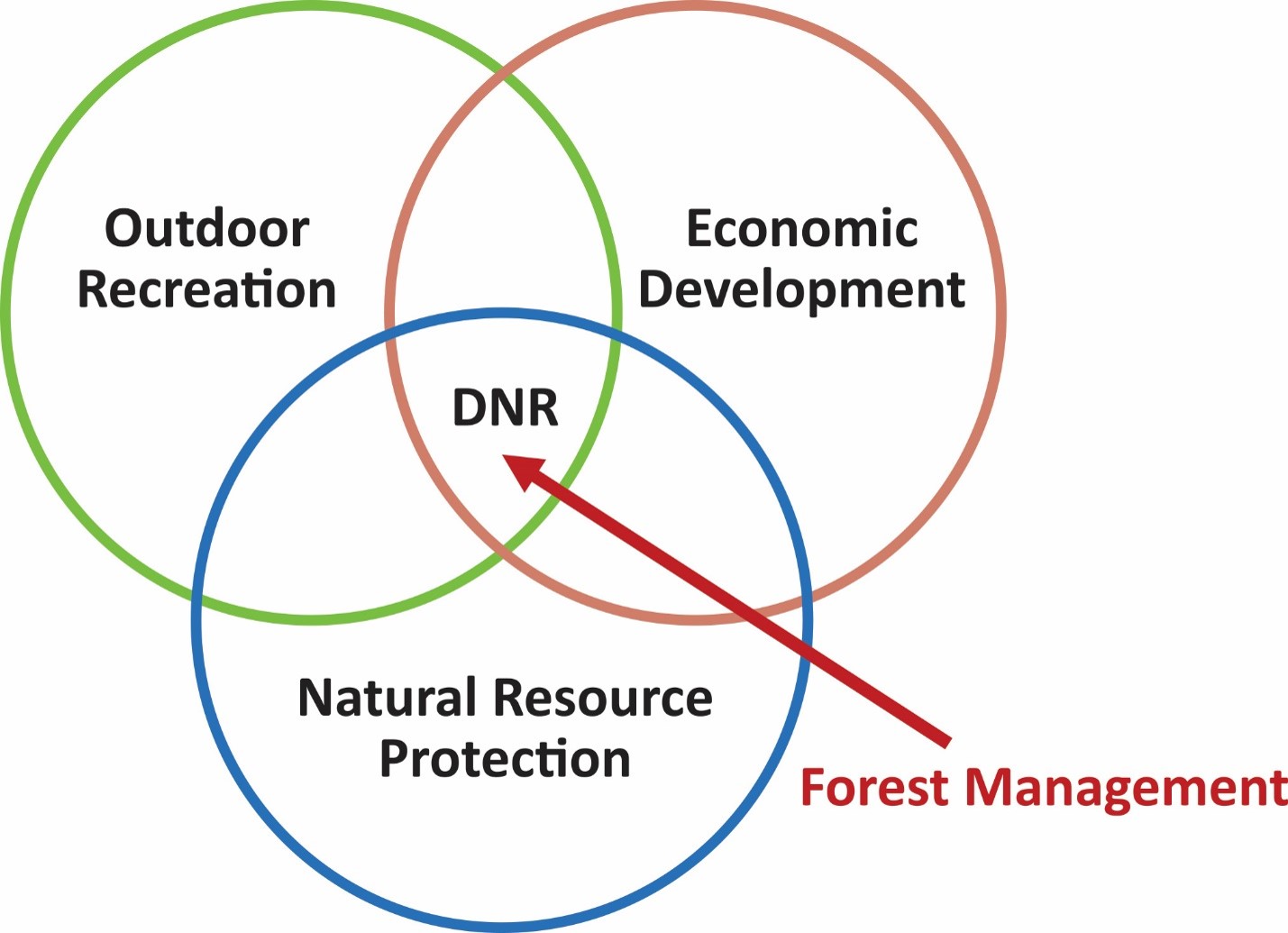 Forest Management in Minnesota - Forest Resources Association