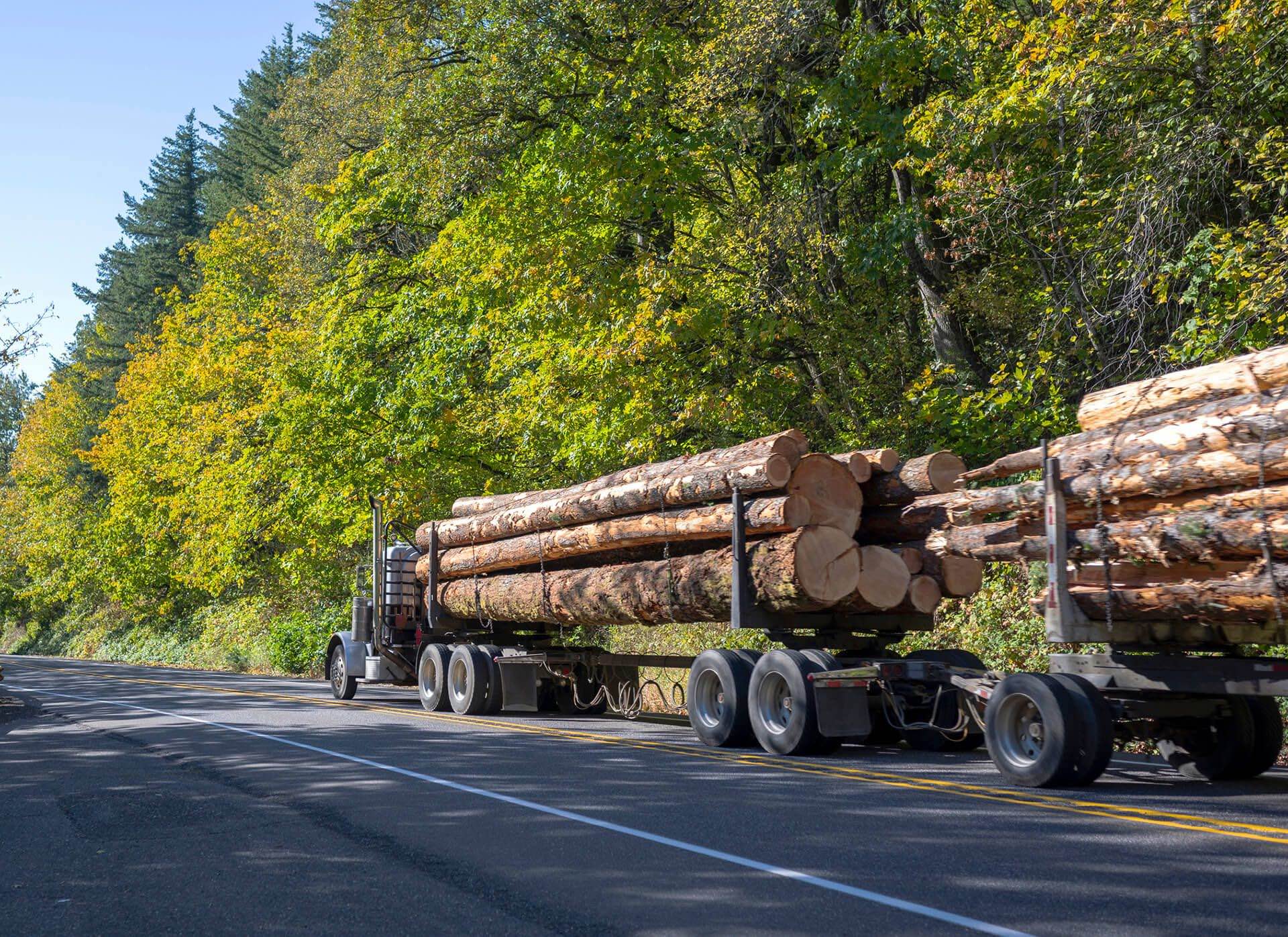 Policy Accomplishments - Forest Resources Association