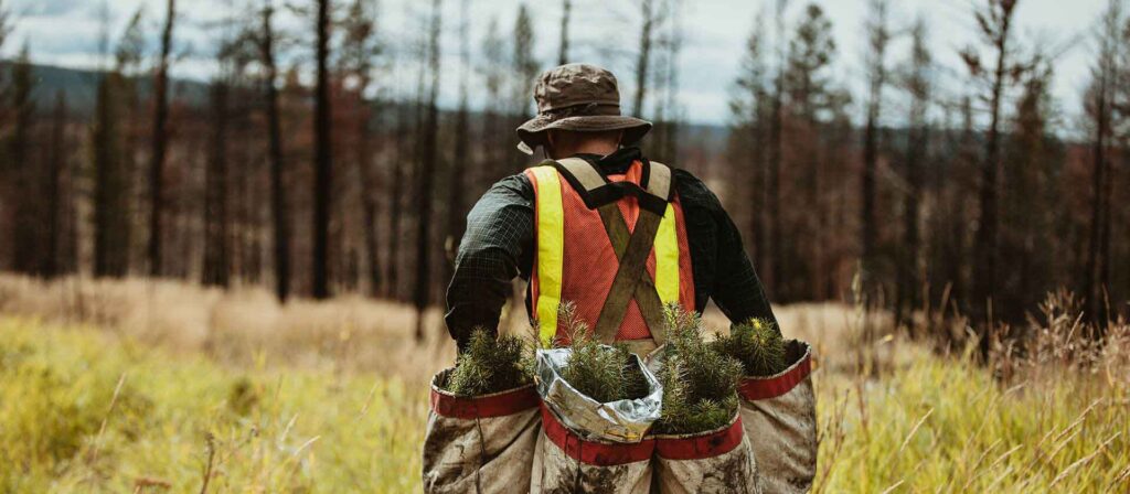 Workforce - Forest Resources Association