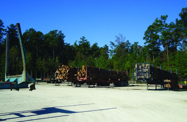 Trailer Drop Yard Boosts Trucking Productivity - Forest Resources ...