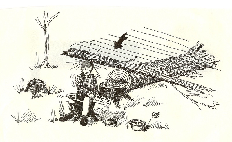 Lodged Trees, Broken Limb Lead to Fatality - Safety Alert - FRA