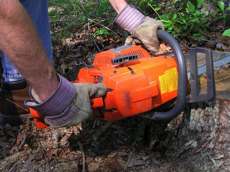 Chain Saw Kickback Breaks Timber Cutter’s Thumb - Safety Alert - FRA