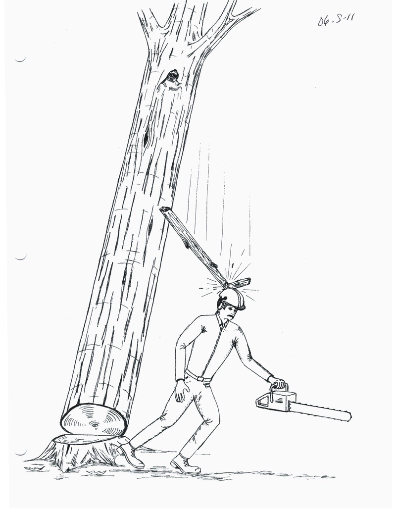 Hard Hat Prevents Fatality from Falling Limb - Safety Alert - FRA