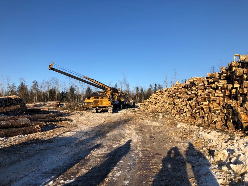 Maine Develops Forest Industry Workforce Development Strategy - Forest ...