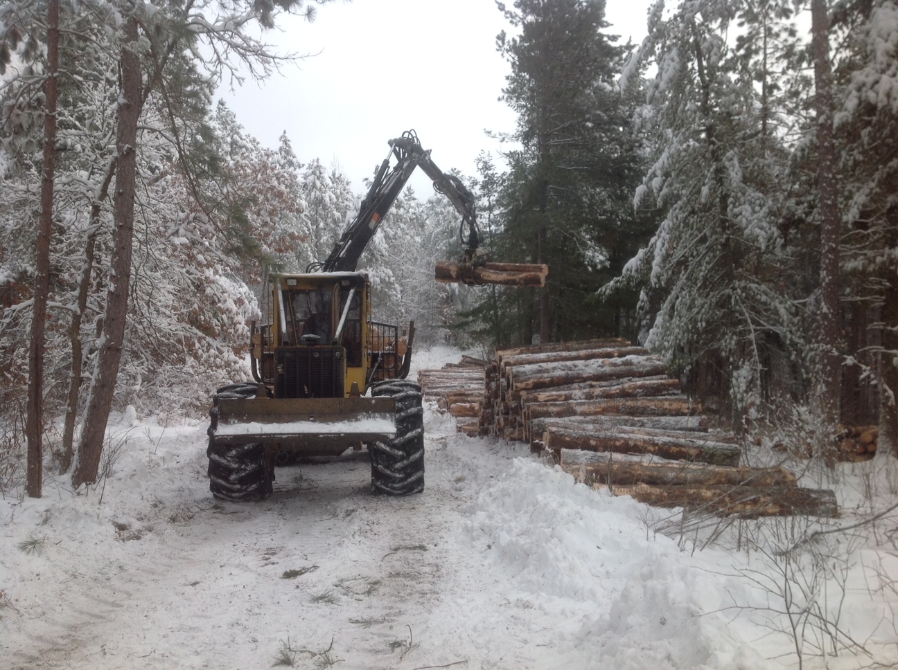 Growing Concerns About the Health and Capacity of the Logging Sector: A ...