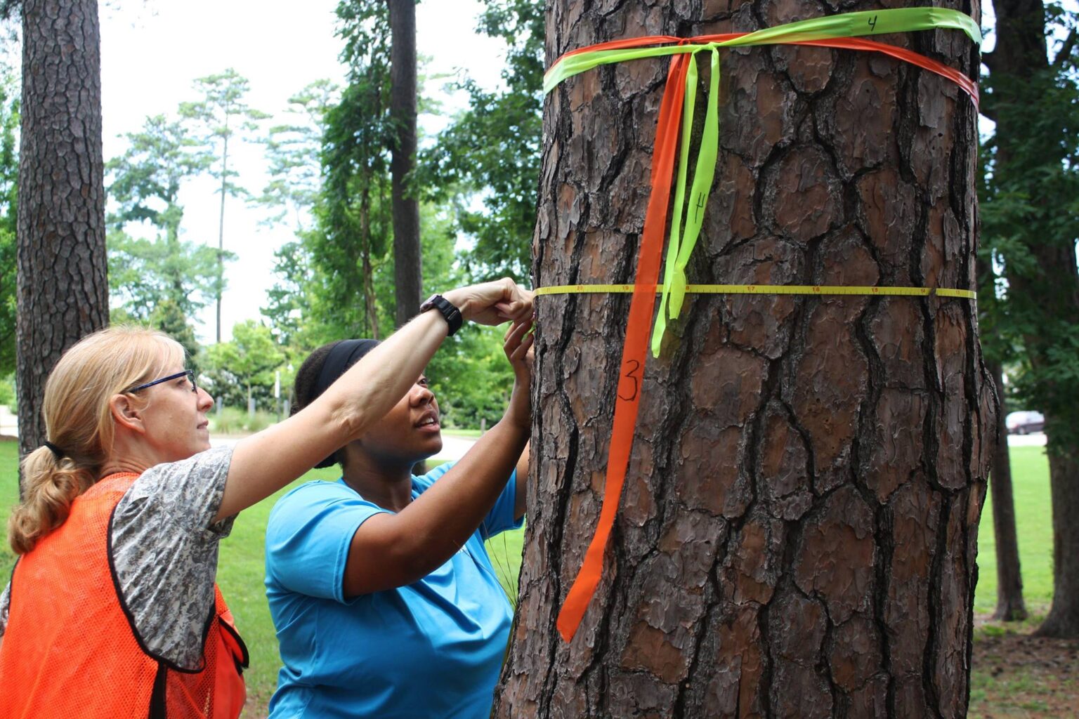 An Overview of the College of Forestry, Wildlife and Environment at ...