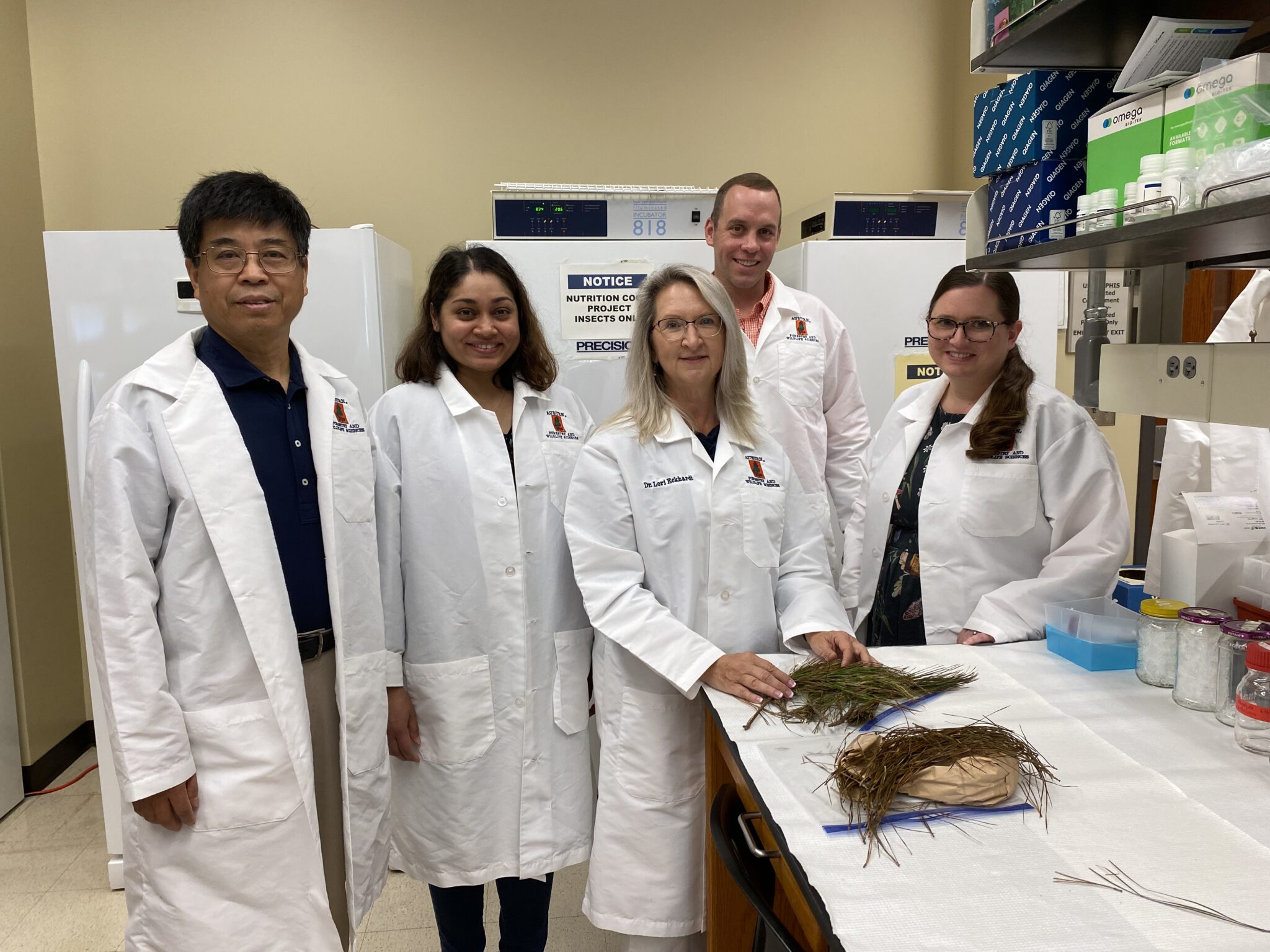 An Overview of the College of Forestry, Wildlife and Environment at ...