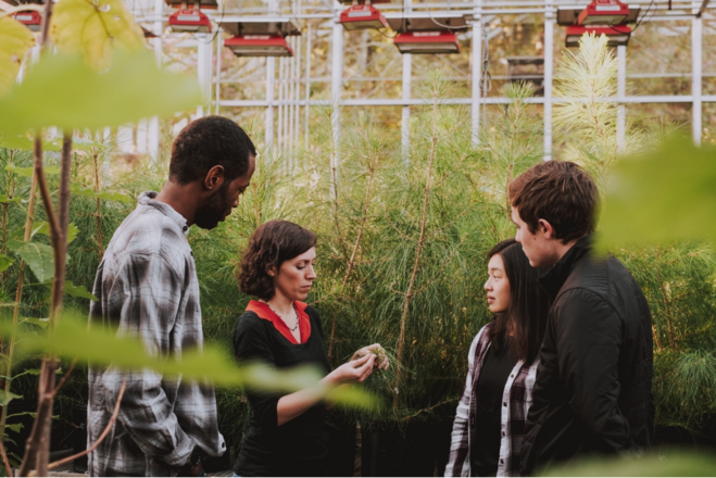 Learning From the Country’s Top Timber Producer: The University of ...