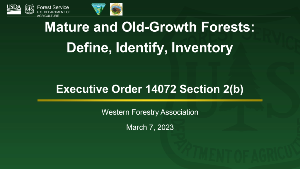 Mature and Old-Growth Forests: Define, Identify, Inventory - Forest ...