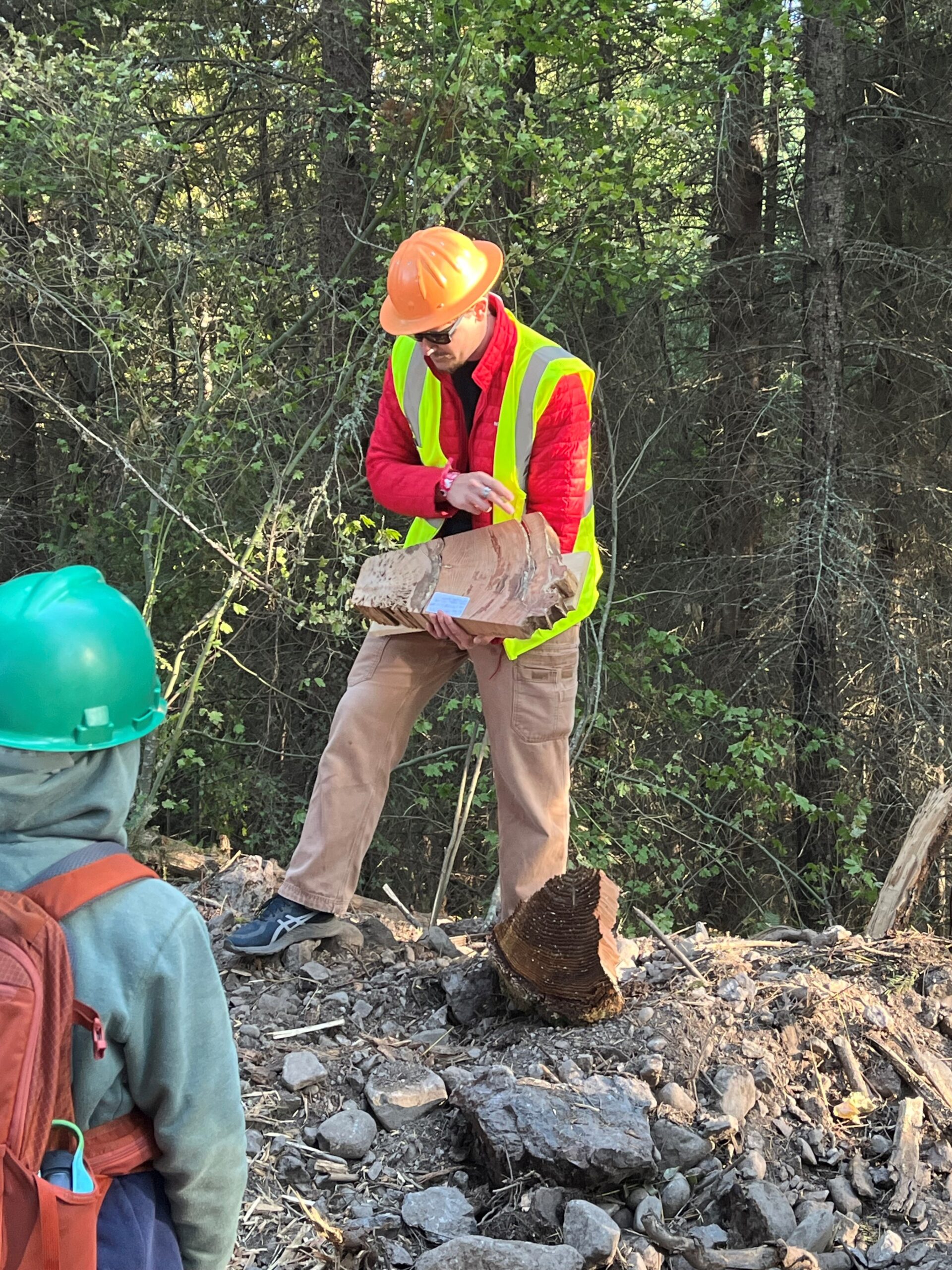 The Enduring Legacy of Forest Products in America - Forest Resources Association