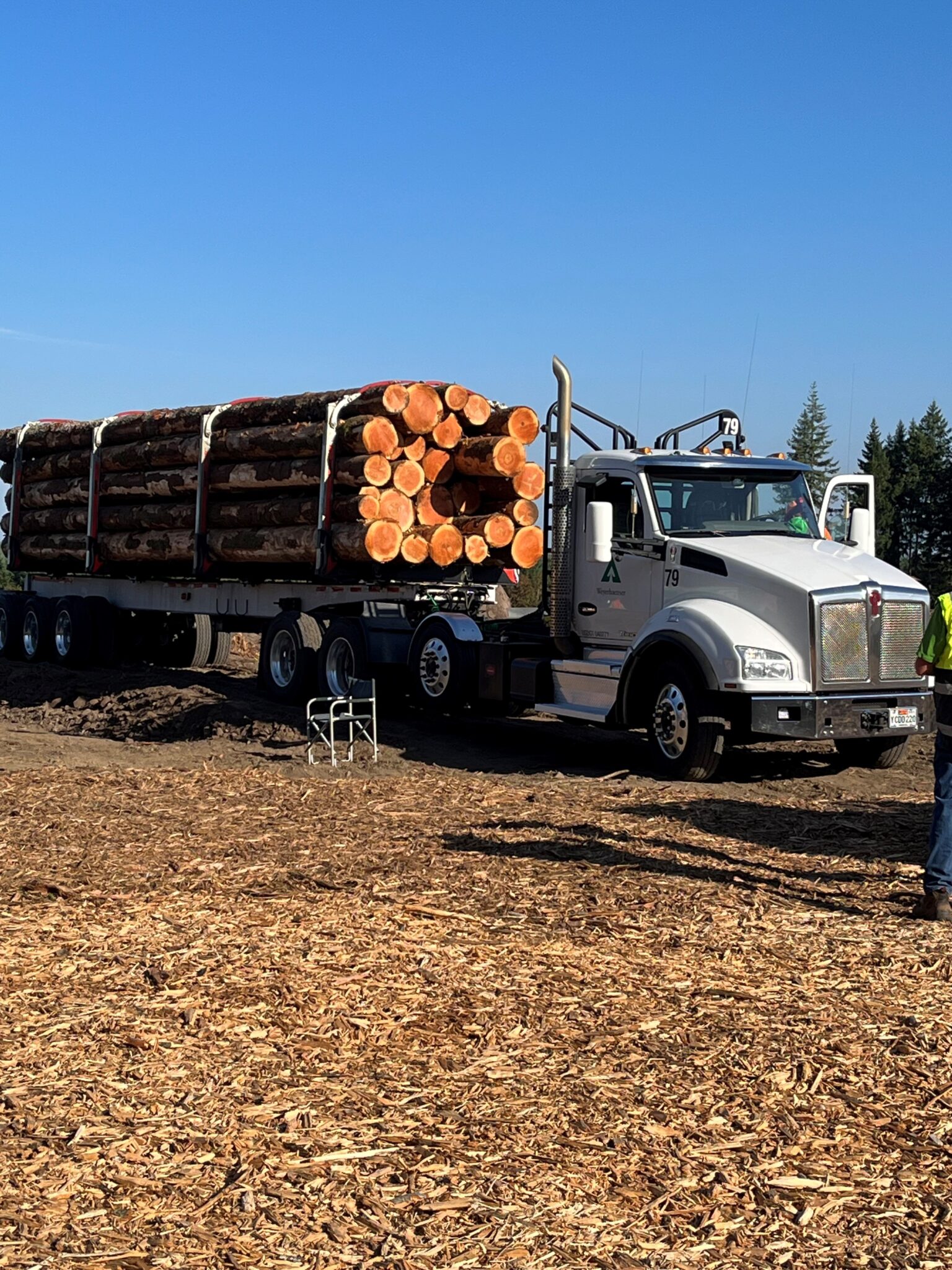 The Enduring Legacy of Forest Products in America - Forest Resources ...