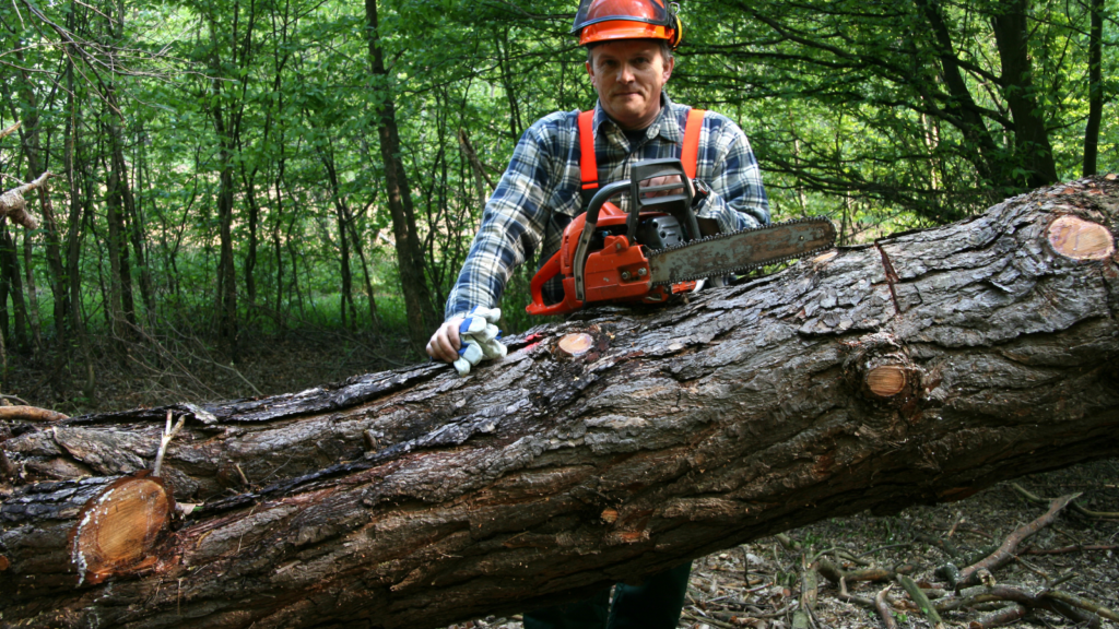 Part of the Workforce Challenge is a Demographic Challenge - Forest ...