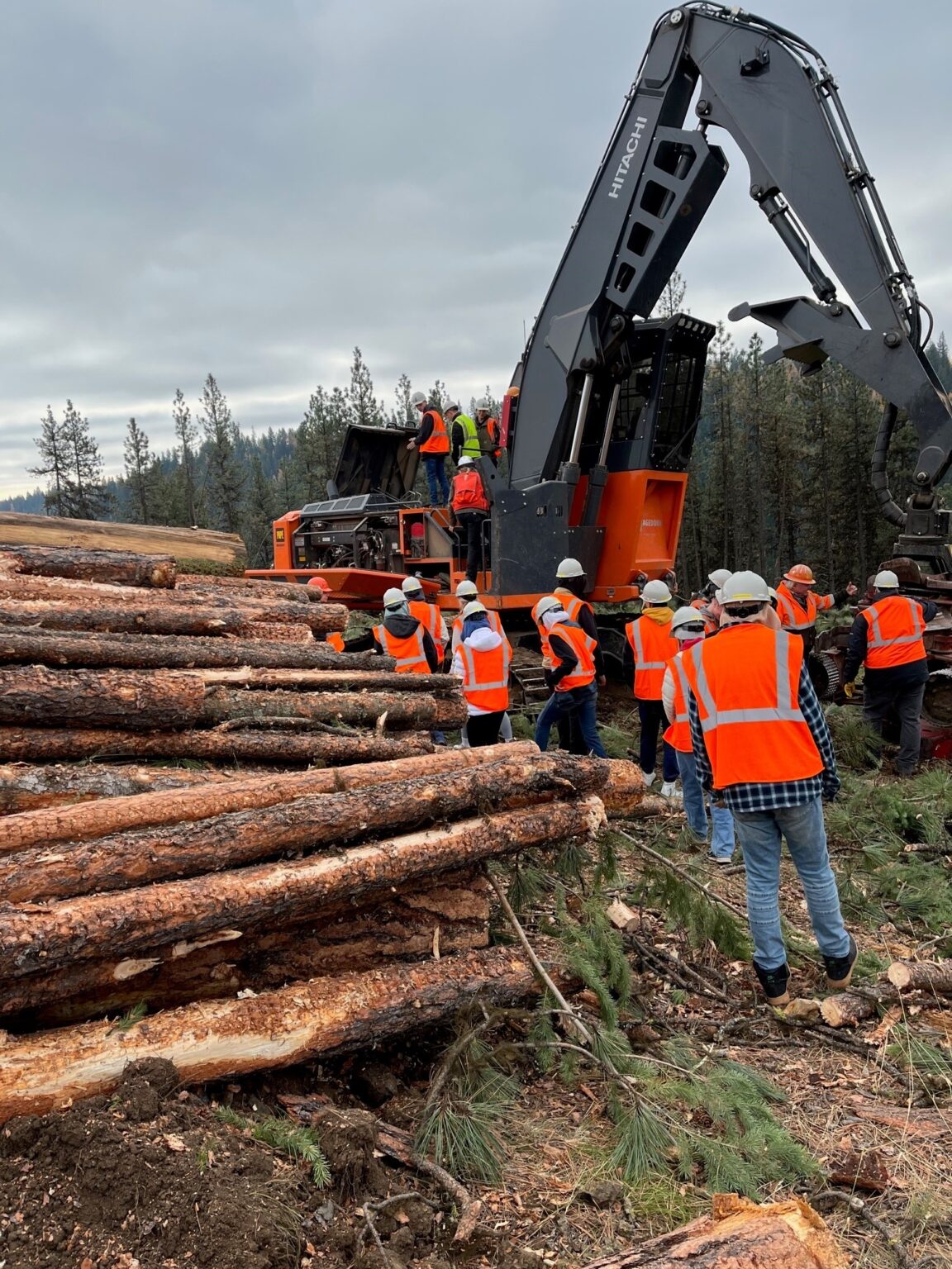 FRA’s Guide to the OSHA Logging Safety Standards - Forest Resources ...